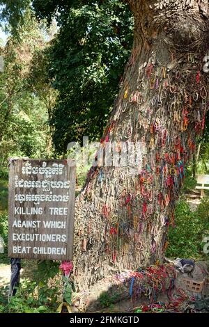 Killing tree, killing fields, Phnom Penh, Cambodia, death destruction ...