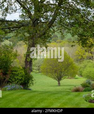 Freshly mown green striped lawn with a fence on the side Stock Photo ...