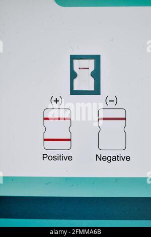Infographic showing positive and negative pregnancy test results Stock ...