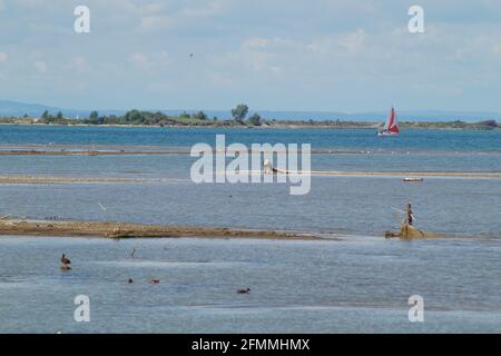 Beautiful shot of seawater with tree stump and waterfowls swimming on ...