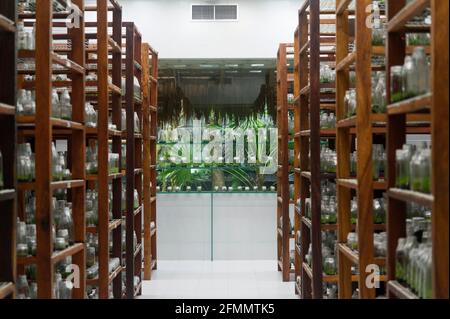 Botanical science laboratory specimen jar with preserved legume root ...