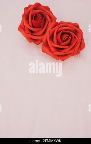 Pair of vibrant pink roses on a soft orange background with copy space ...