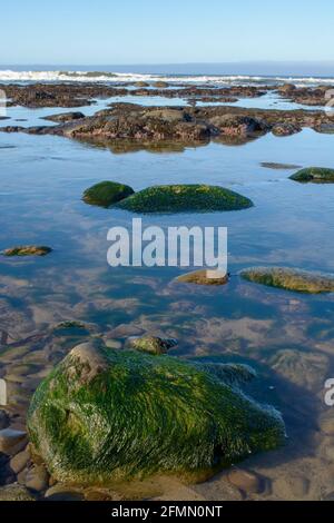 large rock formations at bowling ball beach california Stock Photo - Alamy