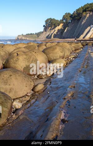 large rock formations at bowling ball beach california Stock Photo - Alamy