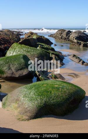 large rock formations at bowling ball beach california Stock Photo - Alamy