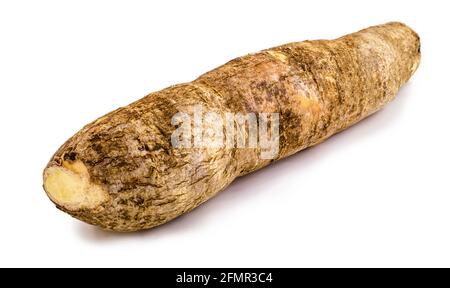 Brazilian manioc, a vegetable used in Brazilian cuisine, called ...