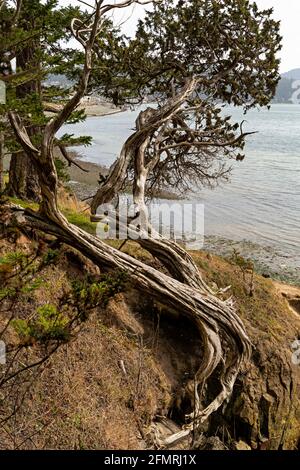 Rugged rocky shoreline of Burrows Park, Clovelly, Sydney, New South ...
