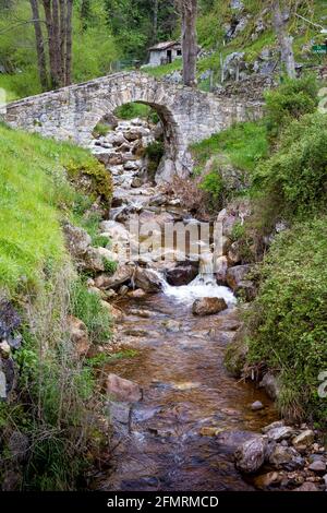 Cabrales, Asturias, village, river, landscape, Europe, Spain, El Cares ...