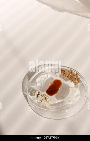 Body scrub textures. Skin care product swatch smear on white background ...
