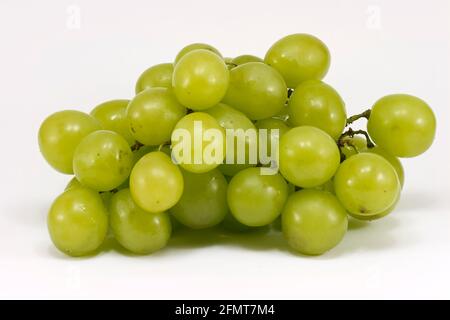 Green Grapes (Muscat) beautiful freshly cut and photographed cluster ...