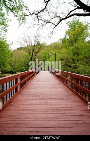 Discovery footbridge over river in tranquil forest Stock Photo - Alamy