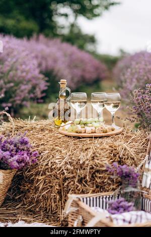 Summer picnic on a lavender field with champagne glasses, croissants ...