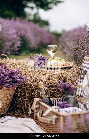 Summer - picnic in the meadow provence. Cheese brie, baguette ...