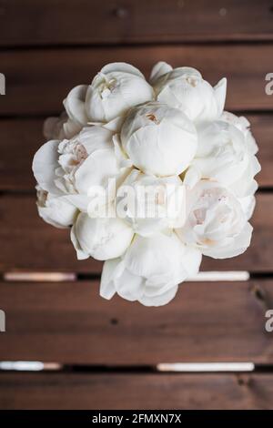 Beautiful and elegant pale light pink peach blossom flower on the tree ...
