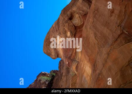 Multicolored red-rose sandstone with signs of weathering and erosion ...