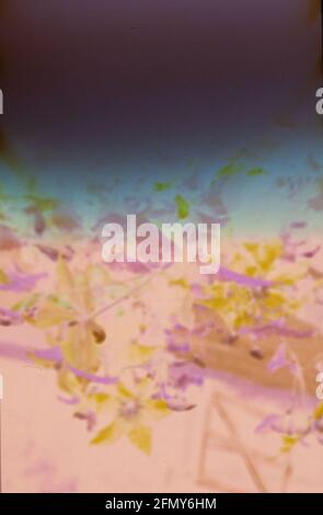 Abstract Purple and Pink Textured Film Background Stock Photo - Alamy