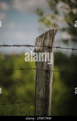Closeup shot of a barbed wire around a pole Stock Photo - Alamy