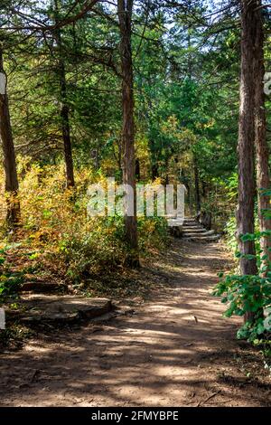 Forest trail at Roman Nose State Park, Watonga, Oklahoma, USA Stock ...