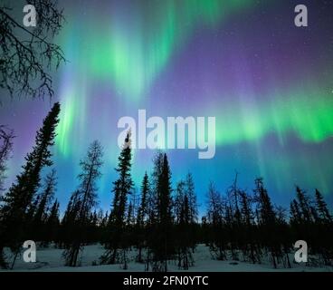 Spring auroras over the permafrost forest! Stock Photo - Alamy