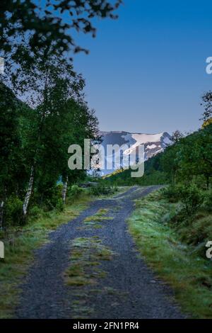 FLO, NORWAY - 2020 AUGUST 10. Country road in the Norwegian forest ...