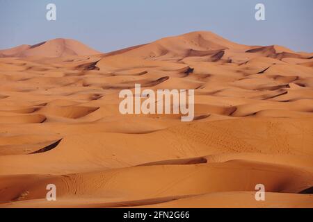 Endless Sands of the Sahara desert. Beautiful sunset over sand dunes of ...