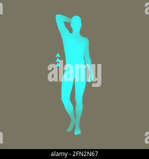Standing man. 3d human body model. Design element. Man stands on his ...