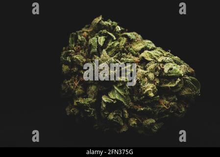 Macro close up portrait of Amnesia Cannabis Marijuana Dry Buds ...