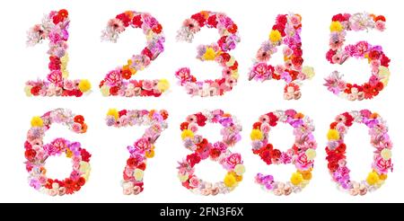 Collage with numbers made of beautiful flowers on white background ...