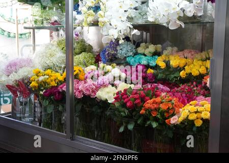 Roses in a special cold room with air conditioning. Refrigerator for ...