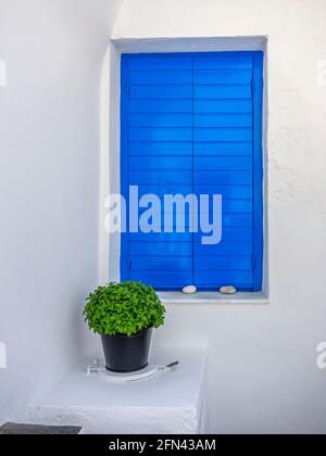 Classic white washed walls and blue painted windows of Tunisian ...