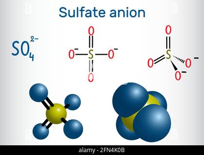 Sulfate anion, chemical structure. Skeletal formula Stock Vector Image ...