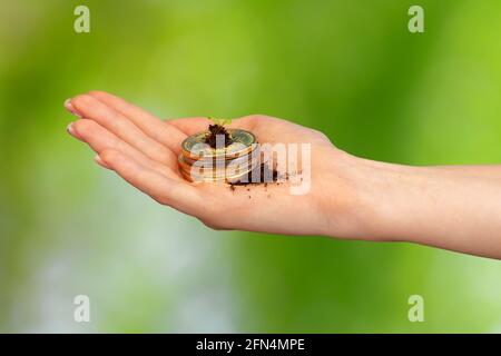 Seedlings grown on a coins stack in female palm Stock Photo - Alamy