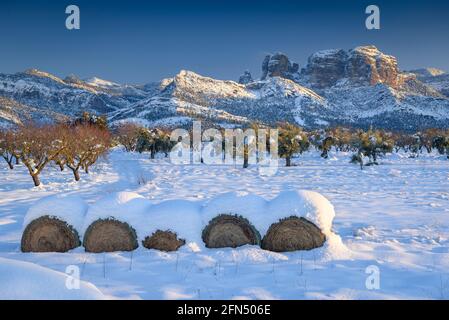 Roques de Benet rocks, near Horta de Sant Joan, in a winter snowy ...