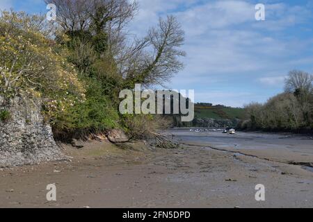 Lower Batson & Batson Creek, Salcombe, Devon, England Stock Photo - Alamy