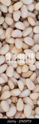 many cedar nut at day Stock Photo - Alamy