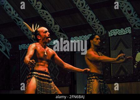 New Zealand Maori dancers in traditional Maori dress perform dance ...