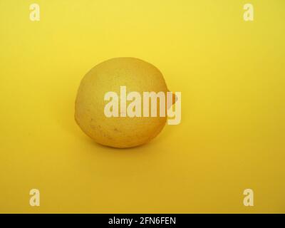 lemon fruit (scientific name Citrus limon) over yellow background Stock ...