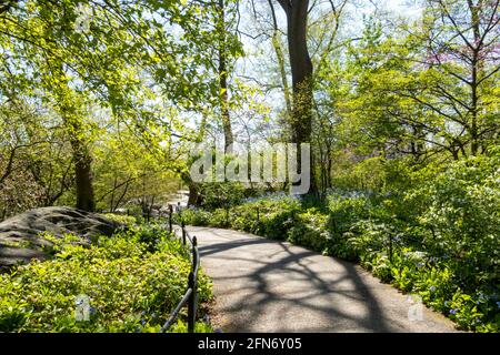 The Ramble, Central Park., New York (State), New York (N.Y.), New York ...