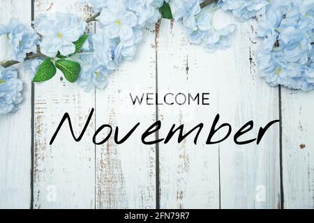 Welcome November text and blue flower decoration on Stock Photo - Alamy