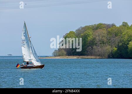 Sailing boat, Rabelsund, Rabel, Schlei, Schleswig-Holstein, Germany ...