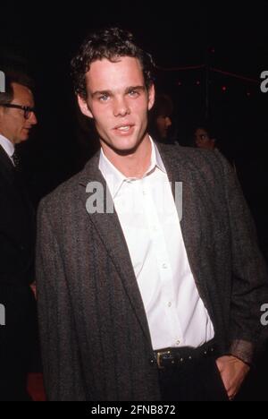 Kevin Dillon 1989 Credit: Ralph Dominguez/MediaPunch Stock Photo - Alamy