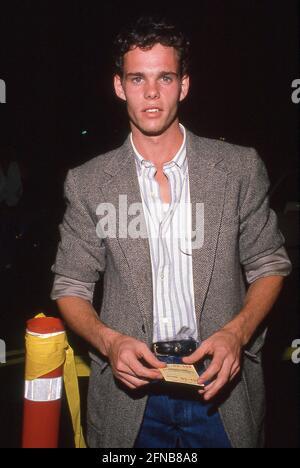 Kevin Dillon 1989 Credit: Ralph Dominguez/MediaPunch Stock Photo - Alamy