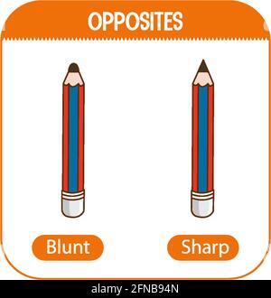 Opposite English Words blunt and sharp illustration Stock Vector Image ...