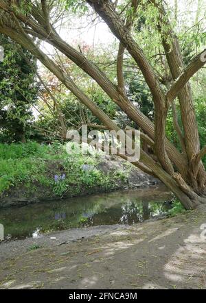 The Pool River, Beckenham, Kent Stock Photo - Alamy