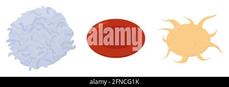 Lymphocytes white blood cells isolated on white background. Hand drawn ...