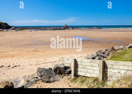Golden sand Summerleaze Beach Bude Cornwall England UK Stock Photo - Alamy