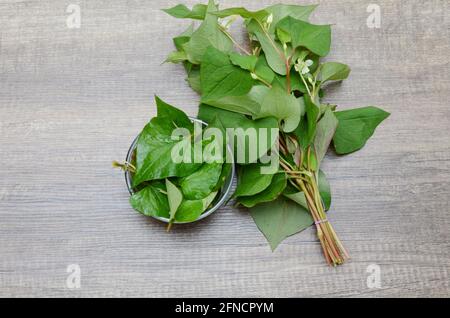 Vegetable of houttuynia cordata fish herb leaves Stock Photo - Alamy