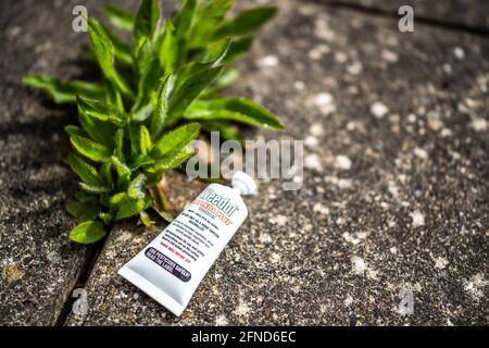 Weed plants growing between concrete pavement bricks Stock Photo - Alamy