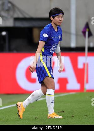 Gothenburg, Sweden - May 16 2021: A lonely coltsfoot, Tussilago farfara ...