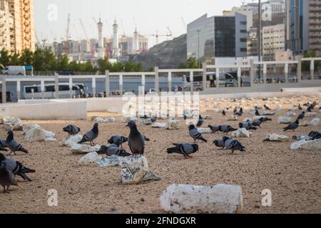 Jannat al-Mualla is Muslim graveyard in Mecca, Saudi Arabia. Jannatul ...